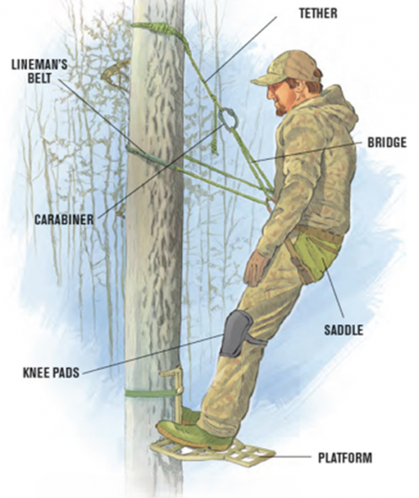 Hunting Saddles and Tree Stand Safety Tips – National Bowhunter ...